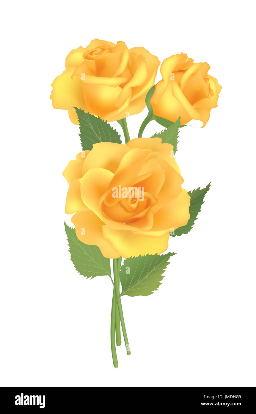 Flower rose posy isolated on white background Stock Photo - Alamy