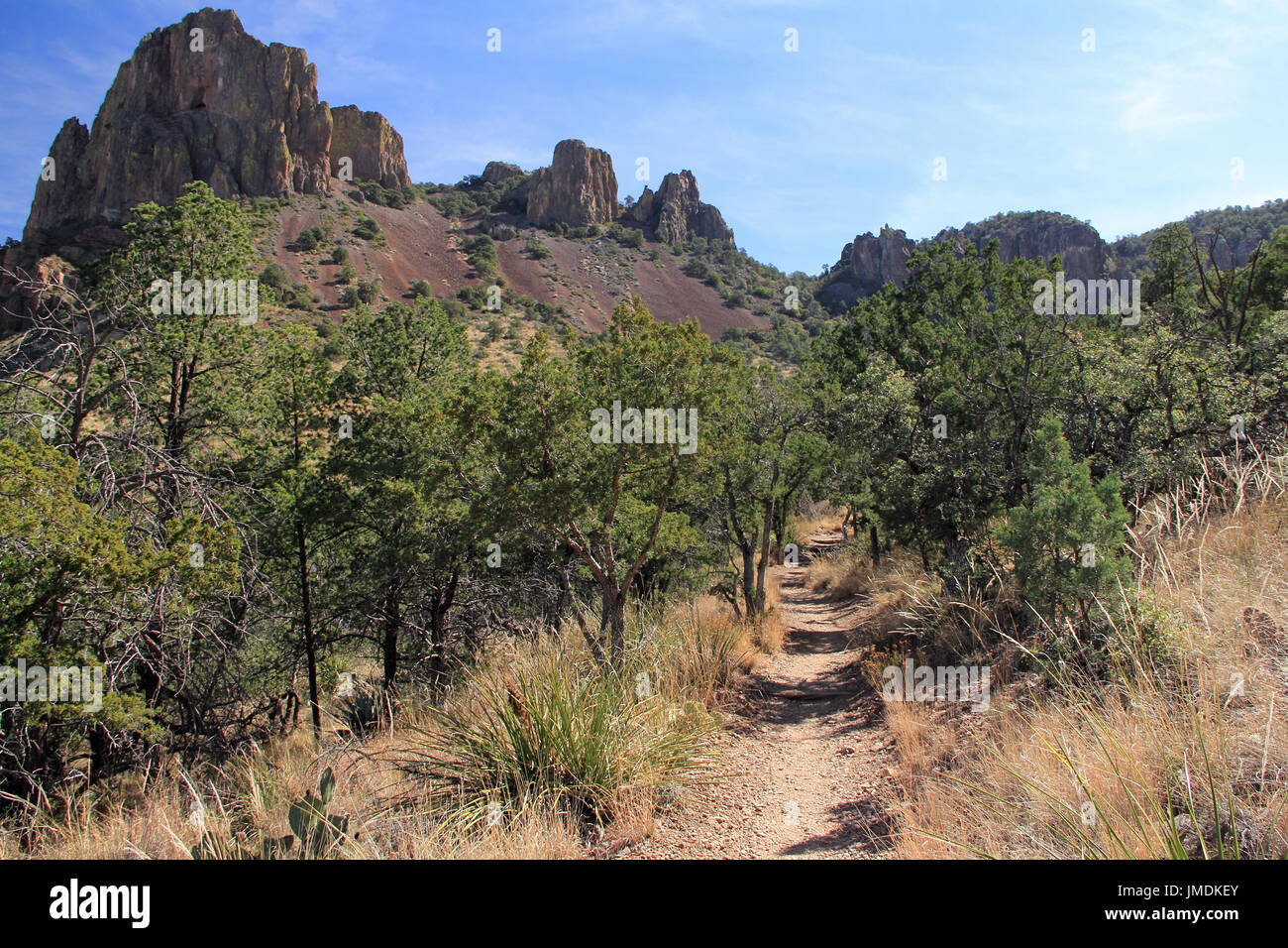 The Scenic Emory Peak Trail in the Chisos Mountains of Big Bend ...