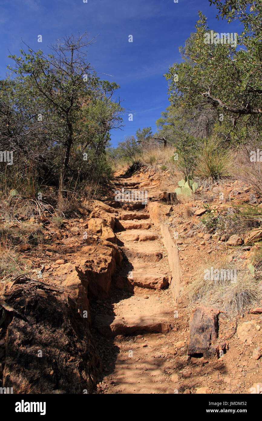 The Scenic Emory Peak Trail in the Chisos Mountains of Big Bend ...