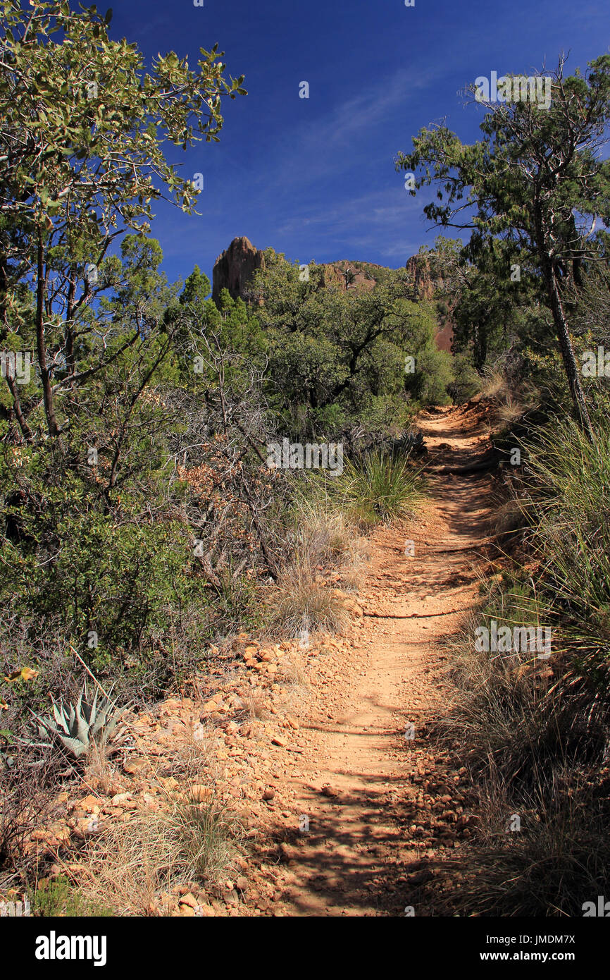 Emory peak big bend national park hi-res stock photography and images ...