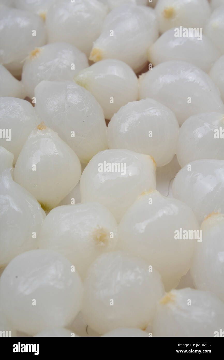 Royalty free pattern hi-res stock photography and images - Alamy