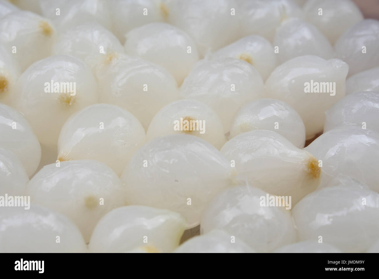 White shallots texture. Shallot onion pattern Stock Photo - Alamy
