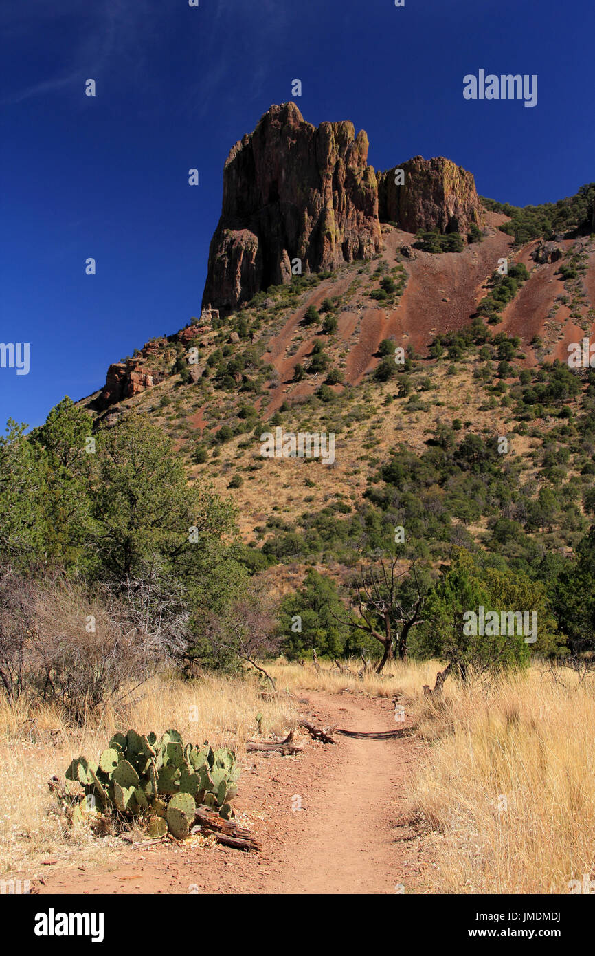 Emory peak big bend national park hi-res stock photography and images ...