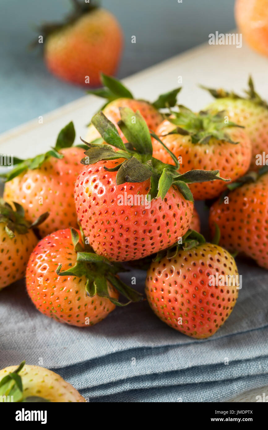 Raw Organic Pink and White Blush Strawberries Ready to Eat Stock Photo ...
