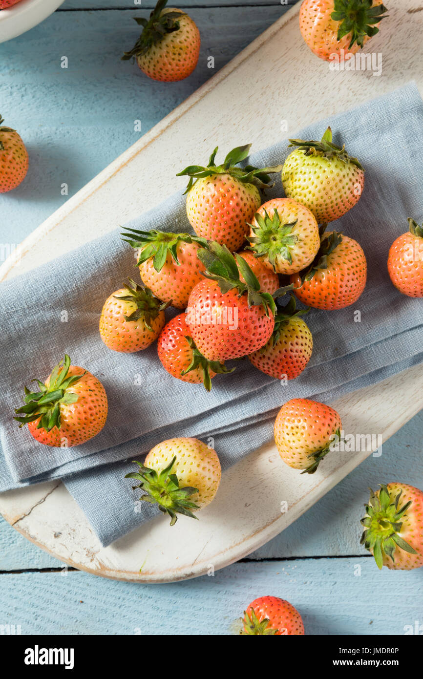 Raw Organic Pink and White Blush Strawberries Ready to Eat Stock Photo ...