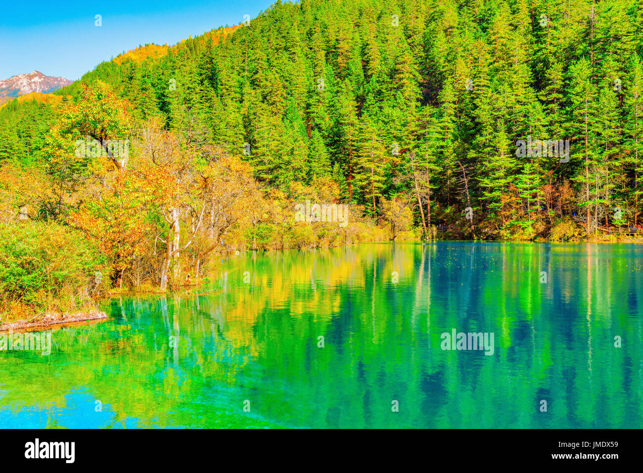 The panda lake hi-res stock photography and images - Alamy