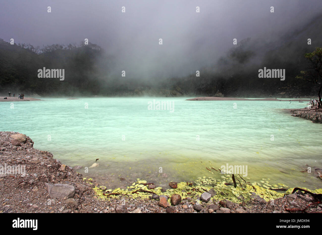 Kawah Putih, also known as White Crater, is a natural sulfur rich ...