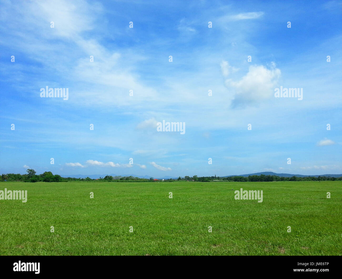 Beautiful landscape yellow grassland hi-res stock photography and ...