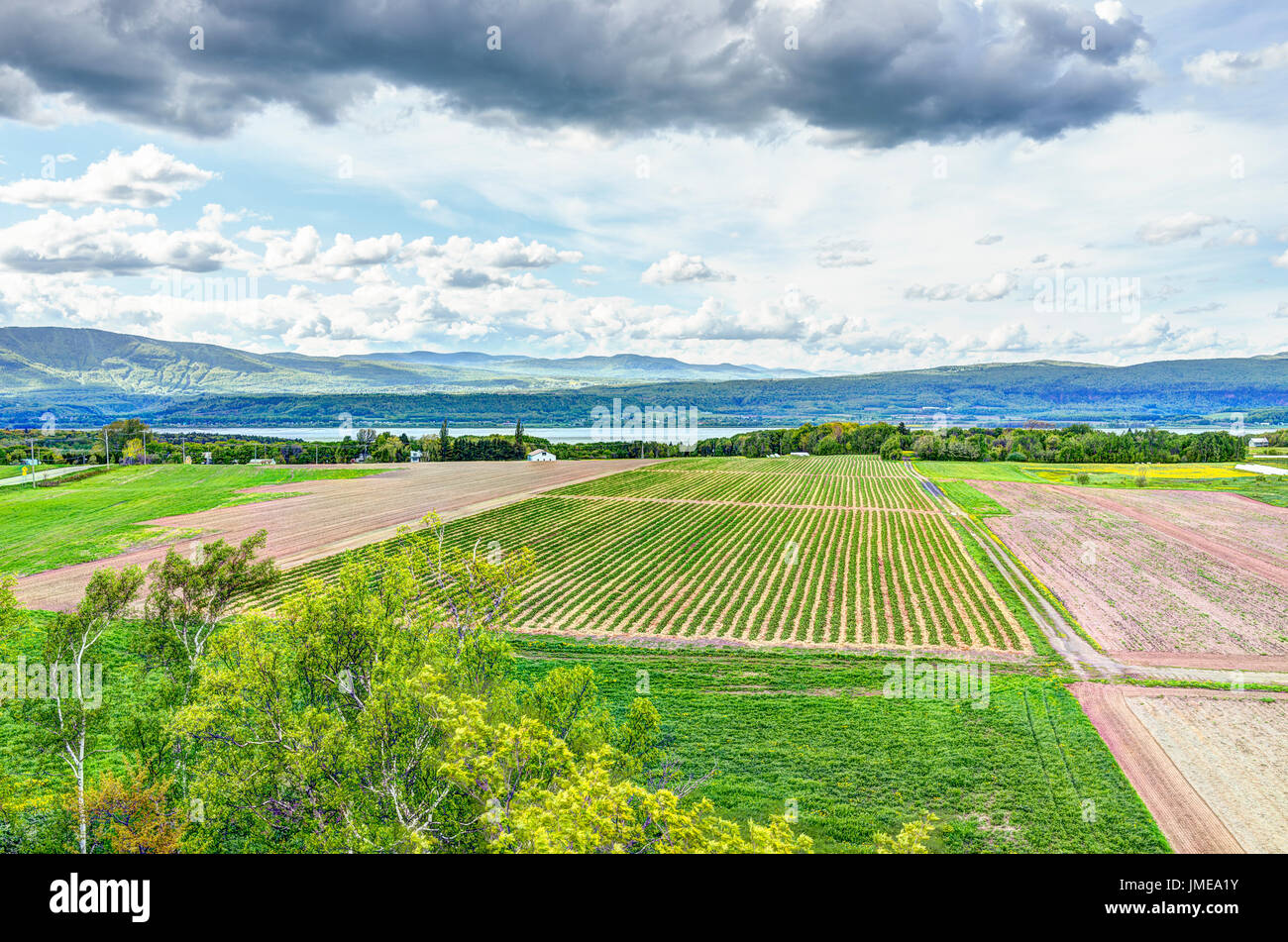 Aerial cityscape landscape view of farmland in Ile D'Orleans, Quebec ...