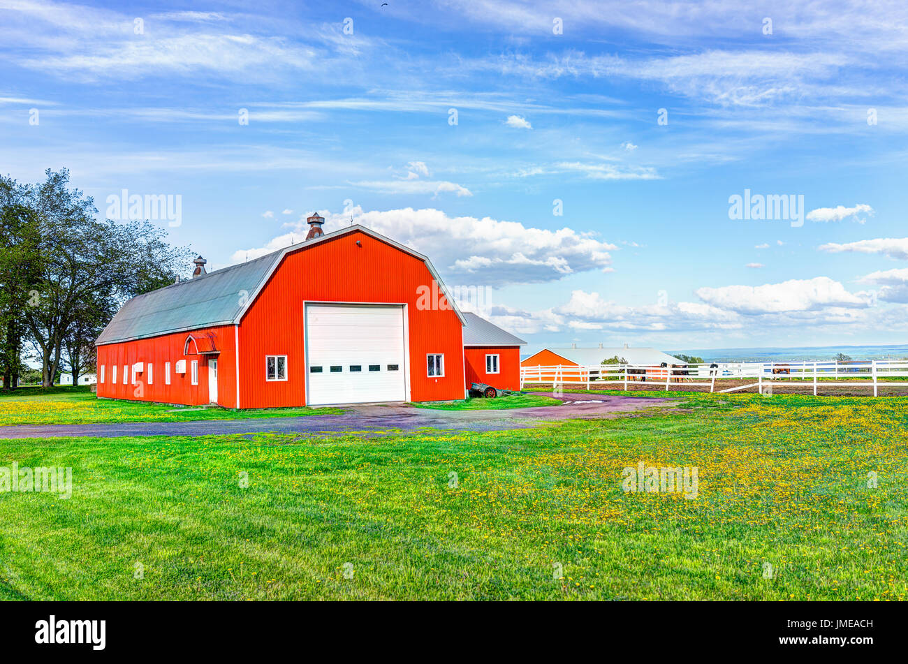 Red orange painted barn shed with white doors in summer landscape field ...