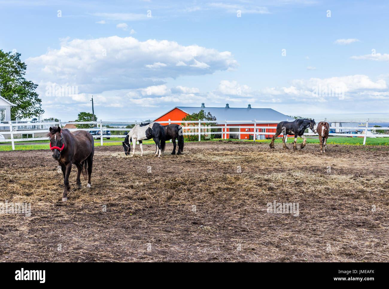 Barn wooden paddock fence hi-res stock photography and images - Alamy