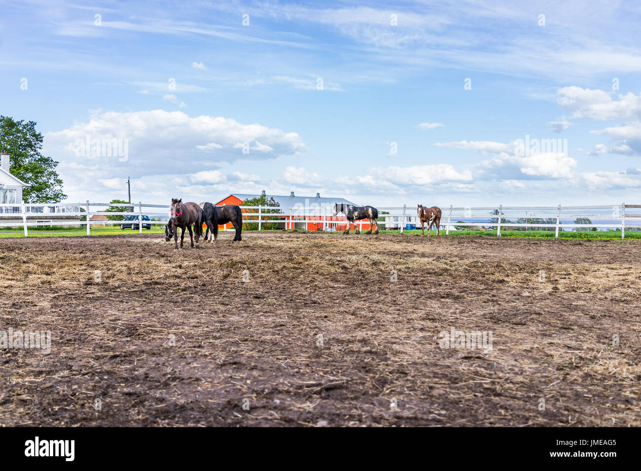 Barn wooden paddock fence hi-res stock photography and images - Alamy