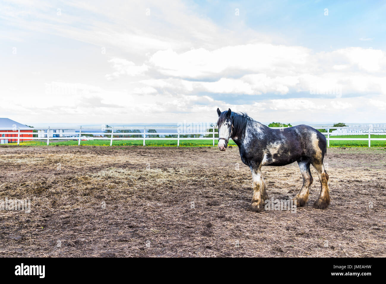 Barn wooden paddock fence hi-res stock photography and images - Alamy