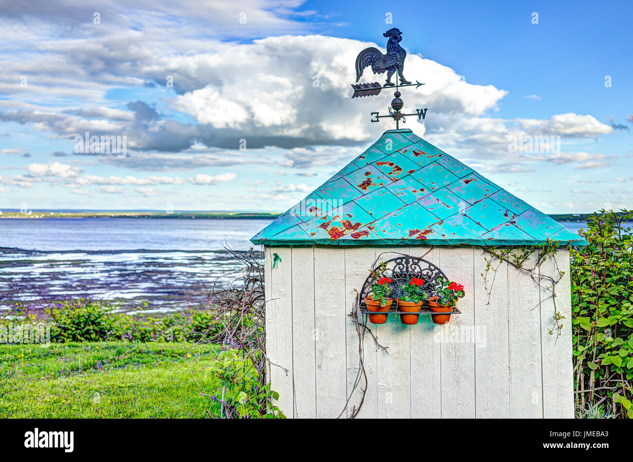 Blue green turquoise painted shed house with rooster compass on top in ...