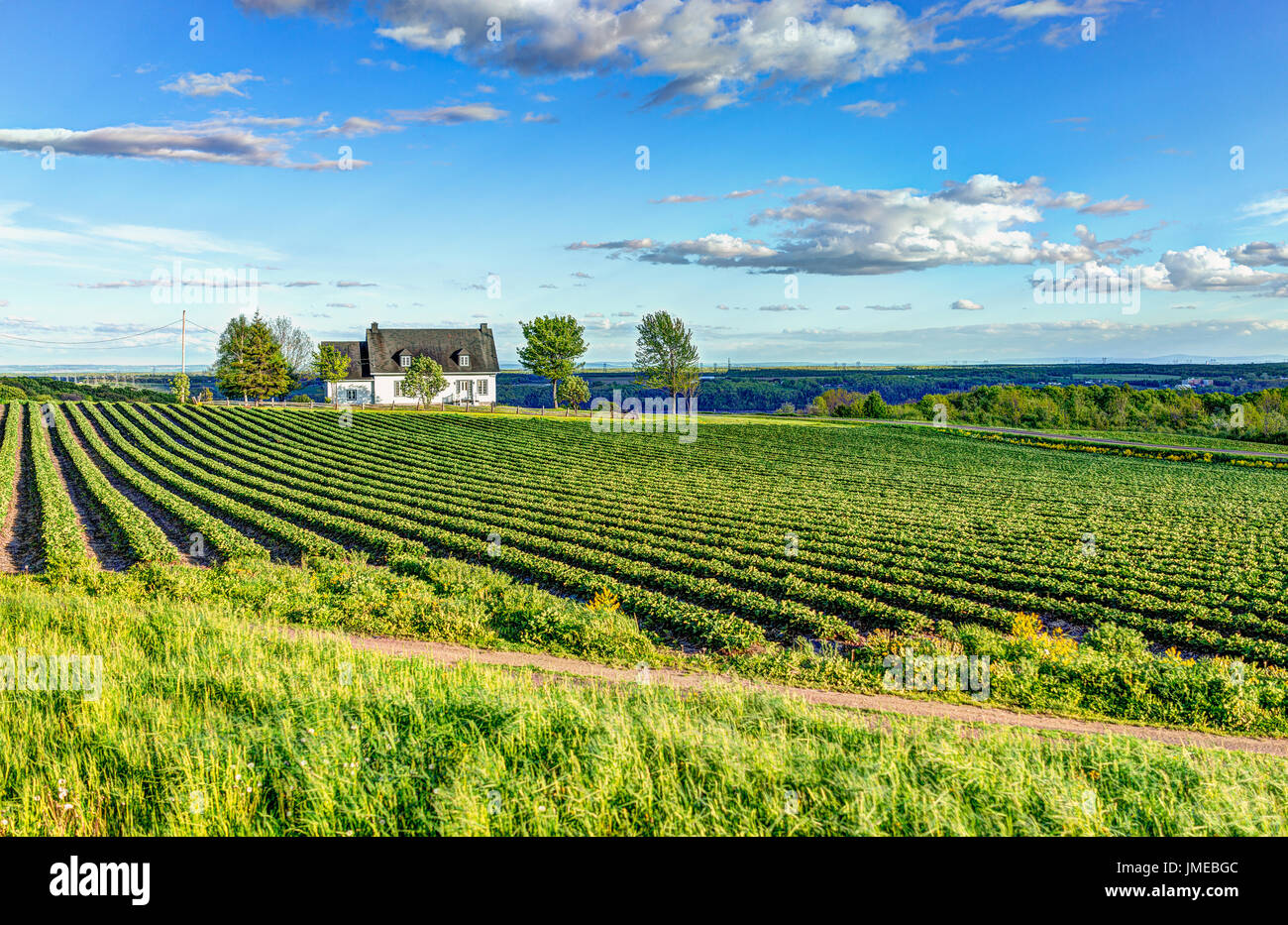 Québec rural hi-res stock photography and images - Alamy