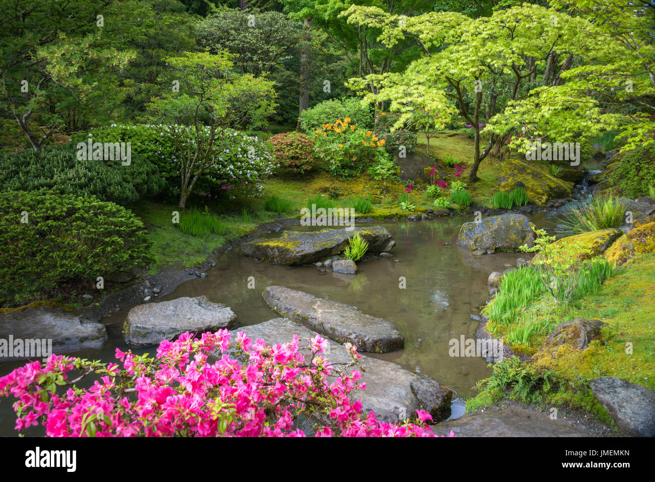 Japanese azaleas hi-res stock photography and images - Alamy