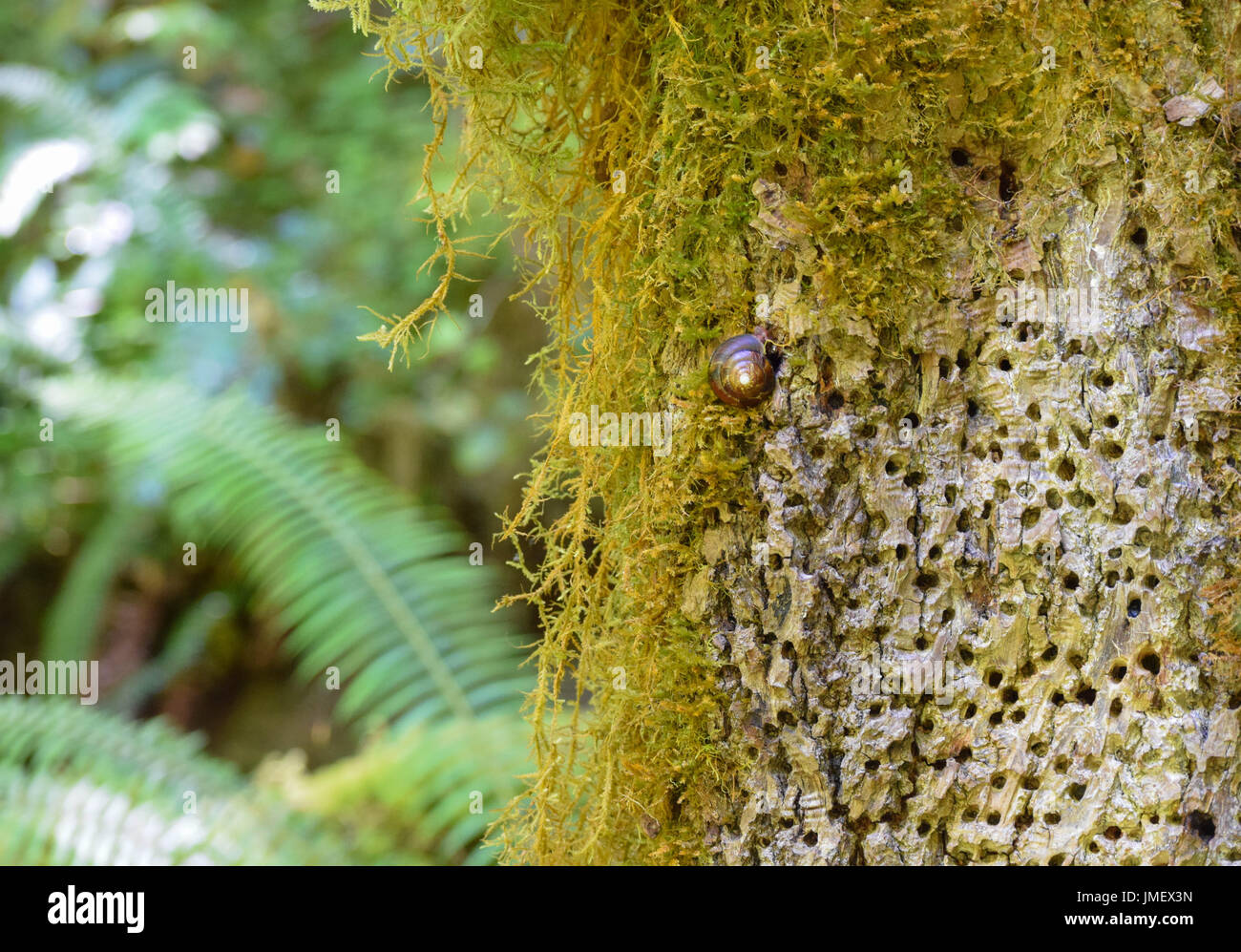Trypophobia hi-res stock photography and images - Alamy