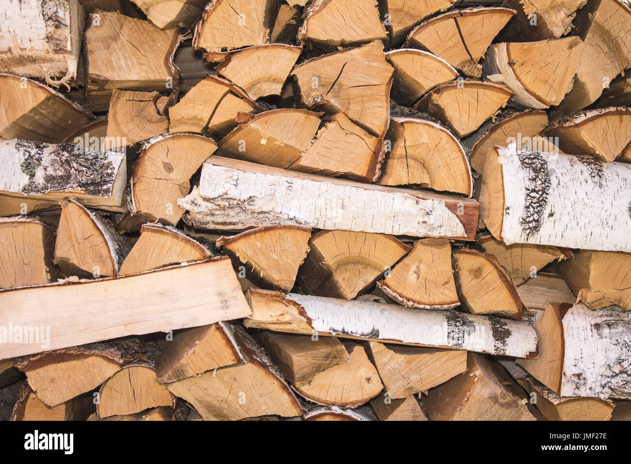 Wallpaper birch cut tree hi-res stock photography and images - Alamy