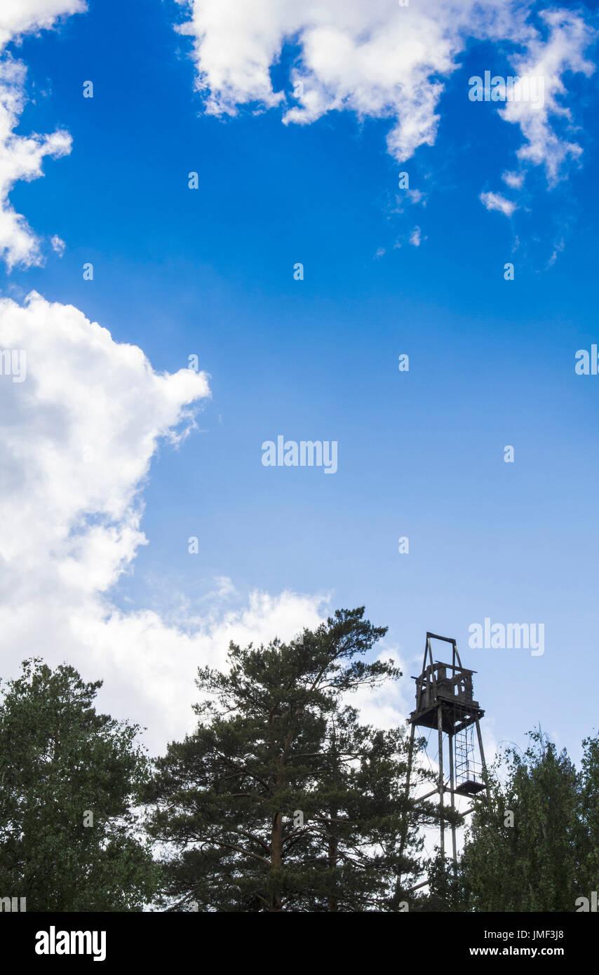 Old fire watchtower above a green forest against a blue sky and white ...