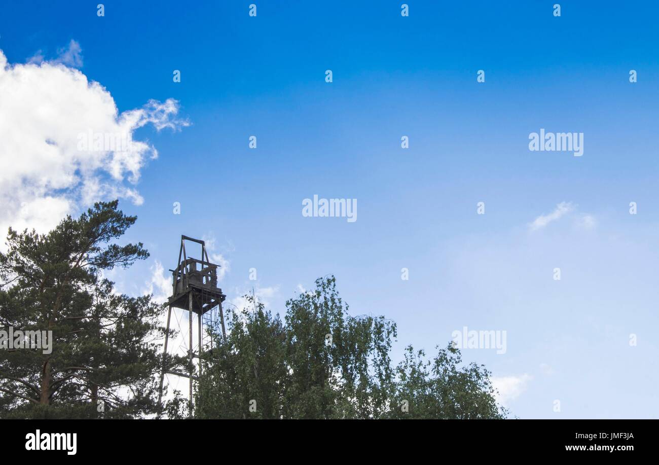 Old fire watchtower above a green forest against a blue sky and white ...
