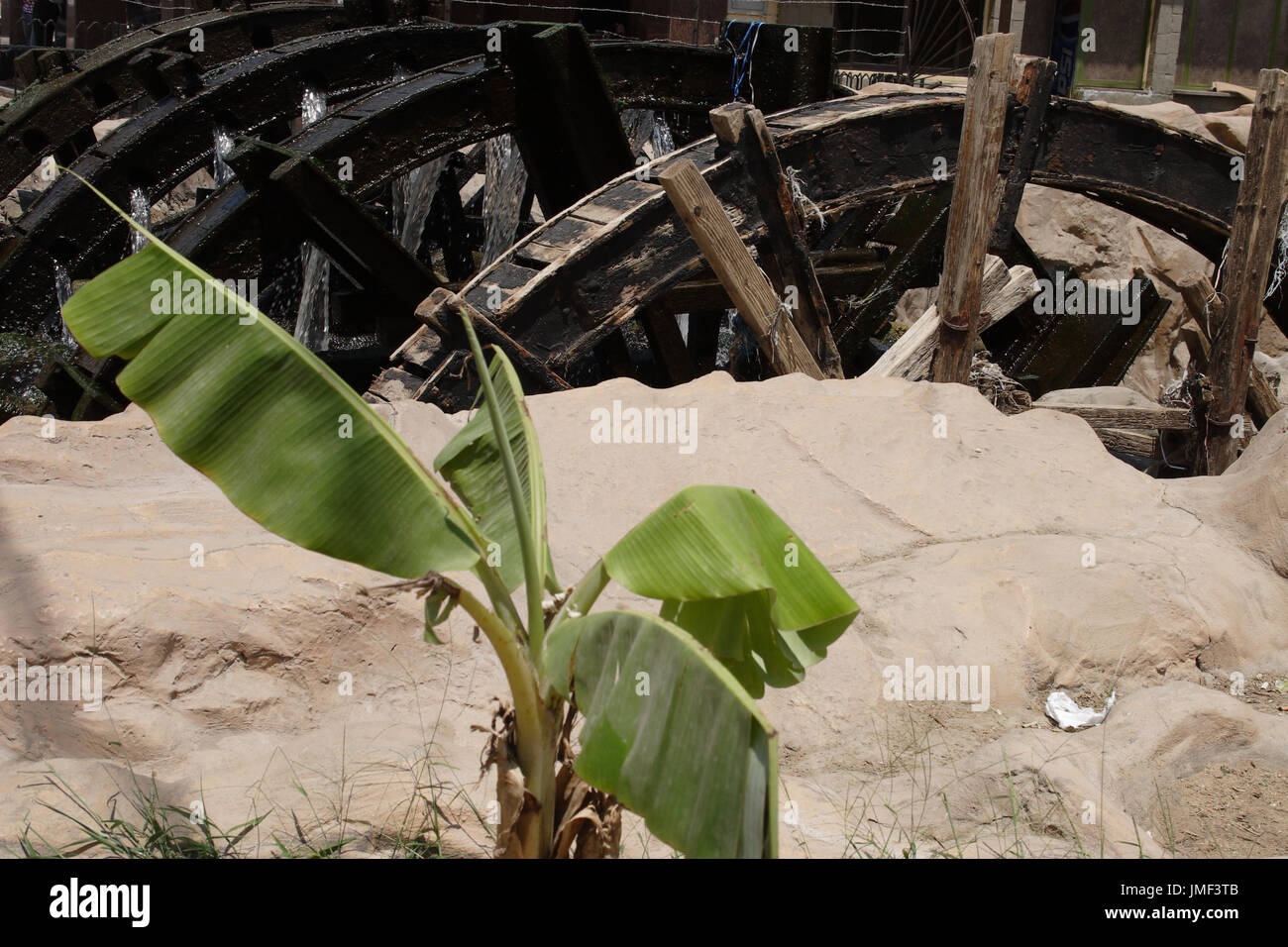 Egypt water wheels hi-res stock photography and images - Alamy
