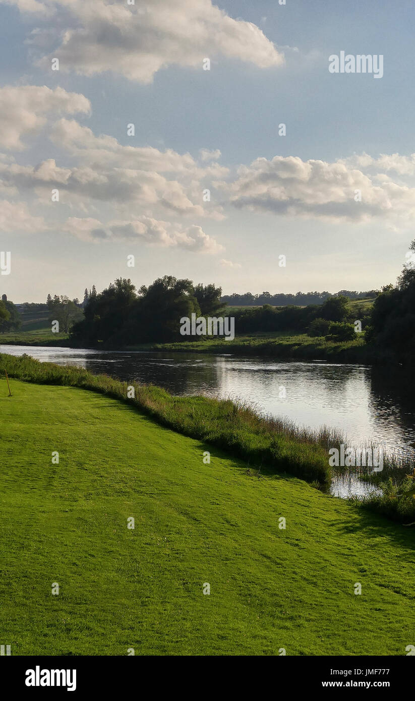 Riverside weeds hi-res stock photography and images - Alamy