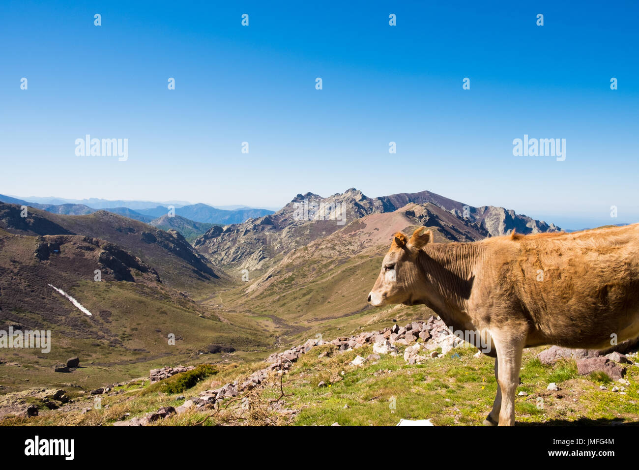 Gr20 corse hi-res stock photography and images - Alamy