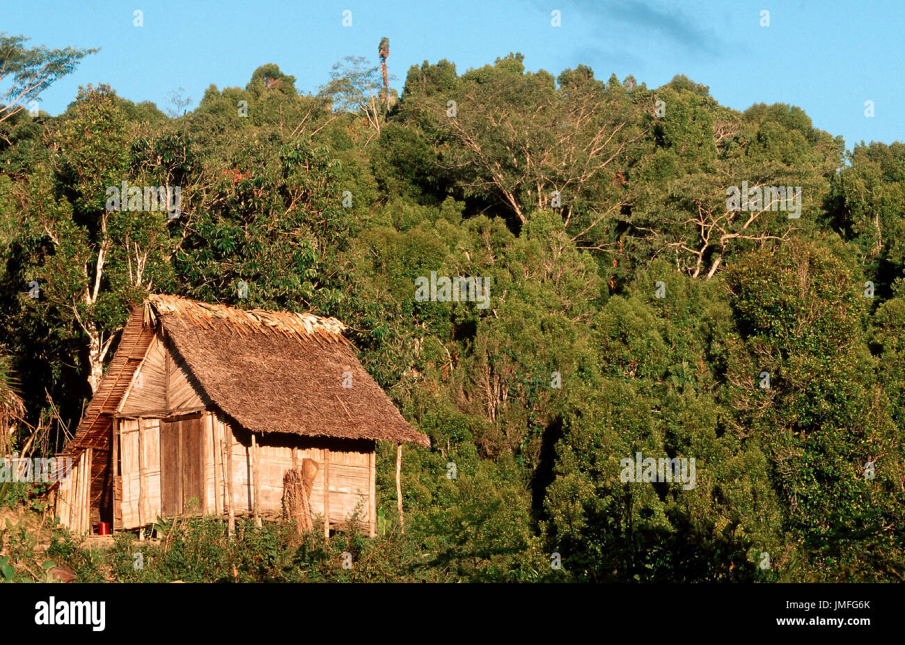 Mananara nord national park hi-res stock photography and images - Alamy