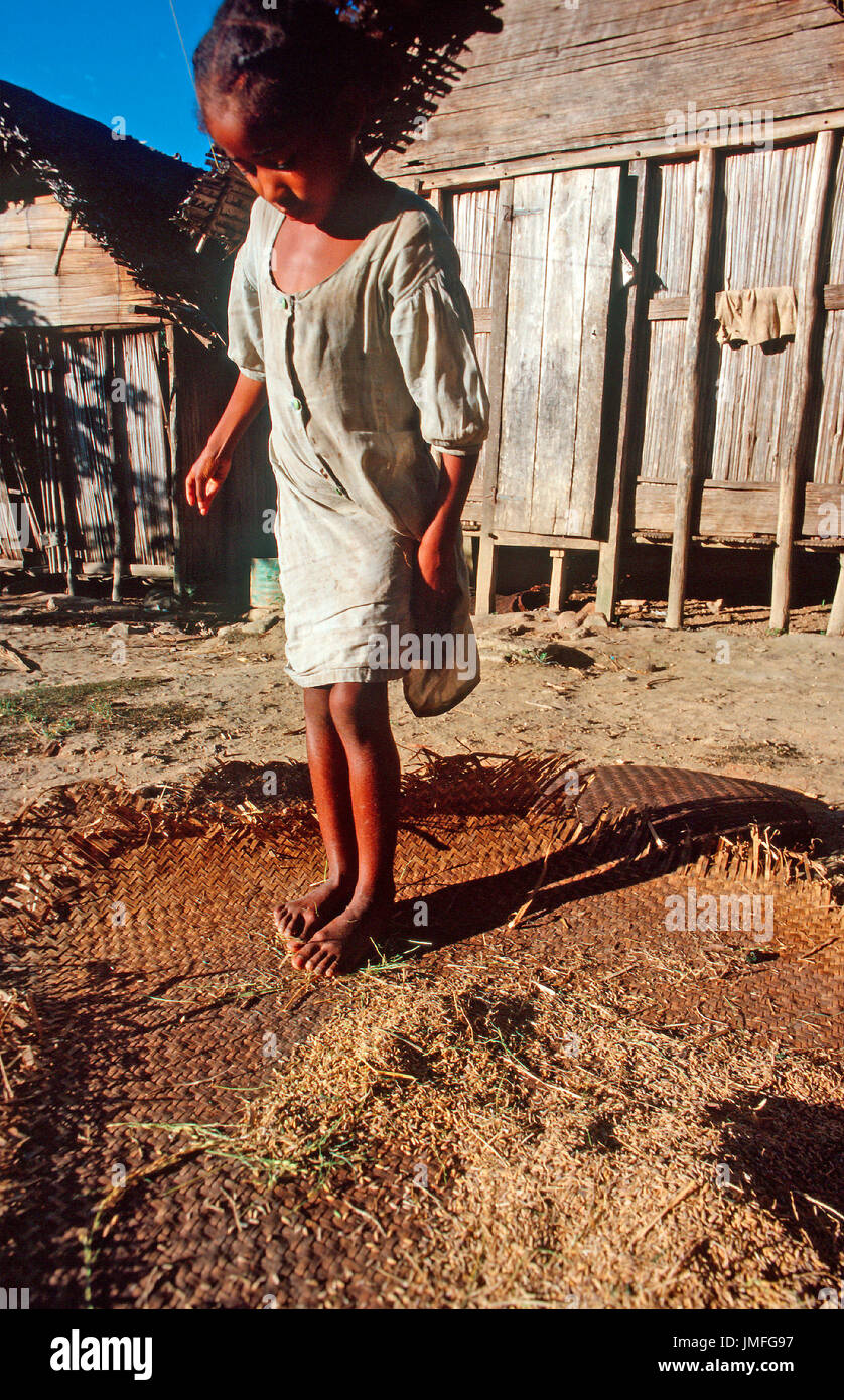 Madagascar meal hi-res stock photography and images - Alamy