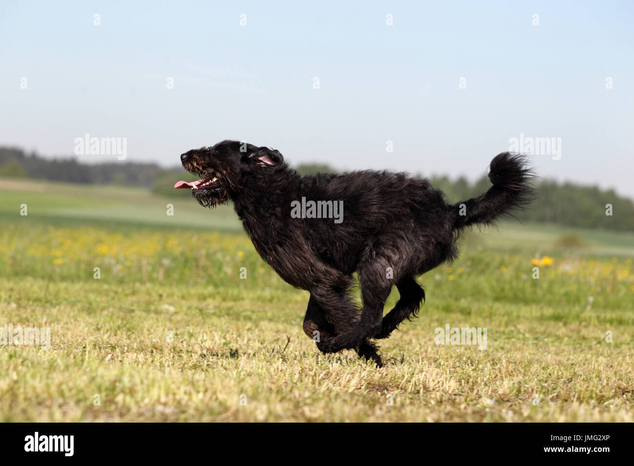 Running motion male hi-res stock photography and images - Alamy