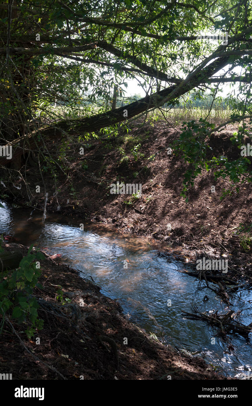 Piddle High Resolution Stock Photography and Images - Alamy