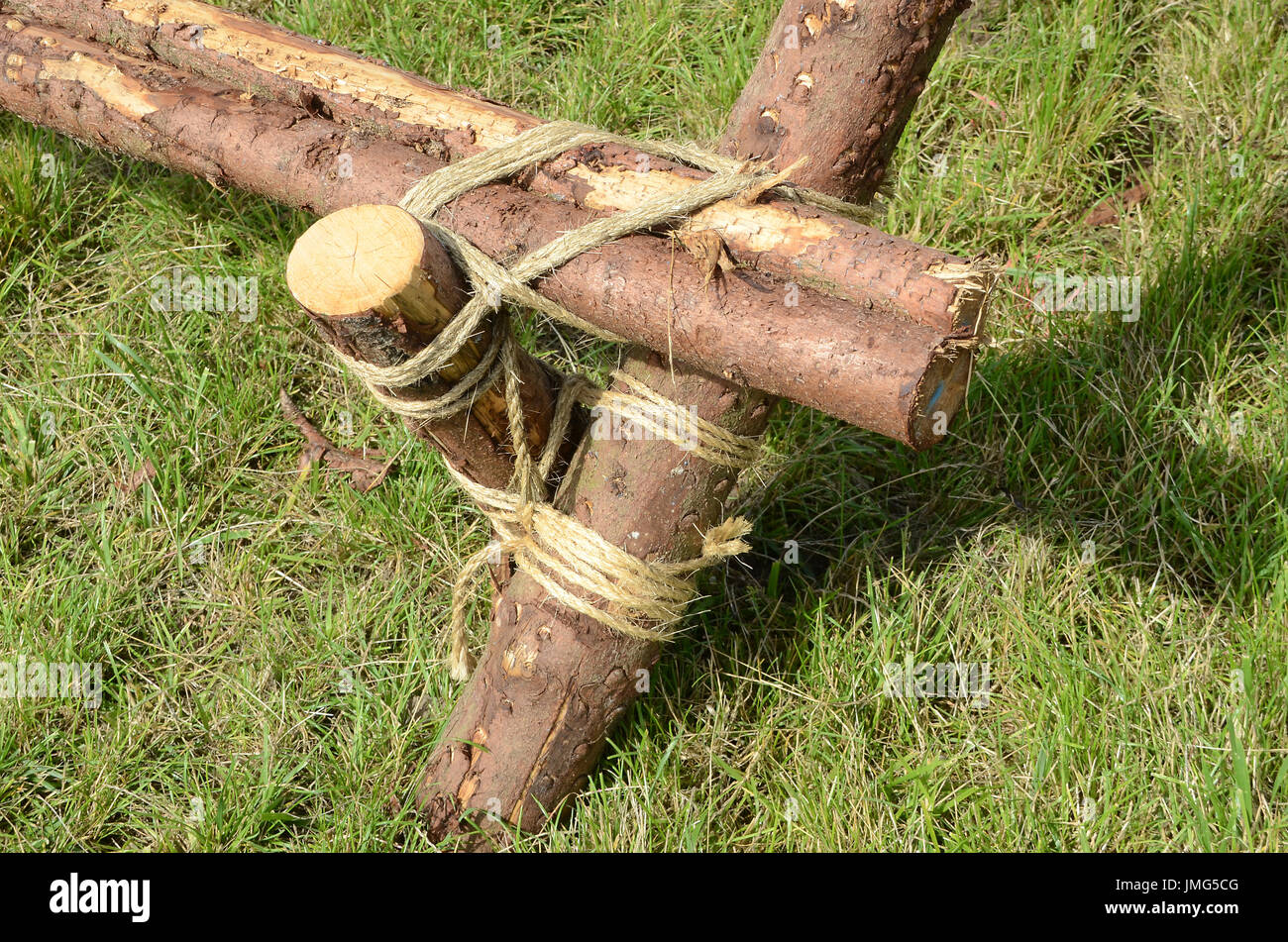 Stems come together hi-res stock photography and images - Alamy