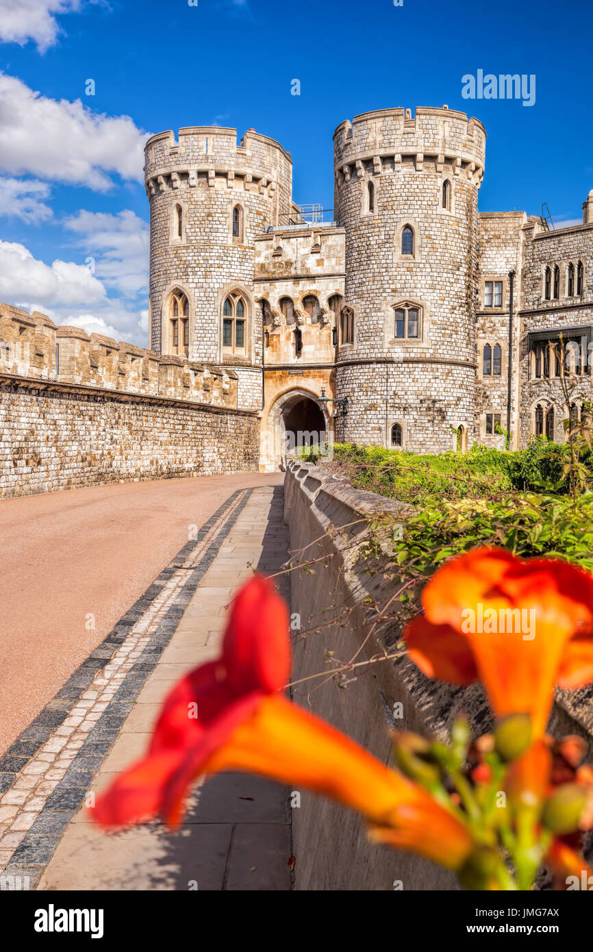 Windsor castle with flowers near London, United Kingdom Stock Photo - Alamy