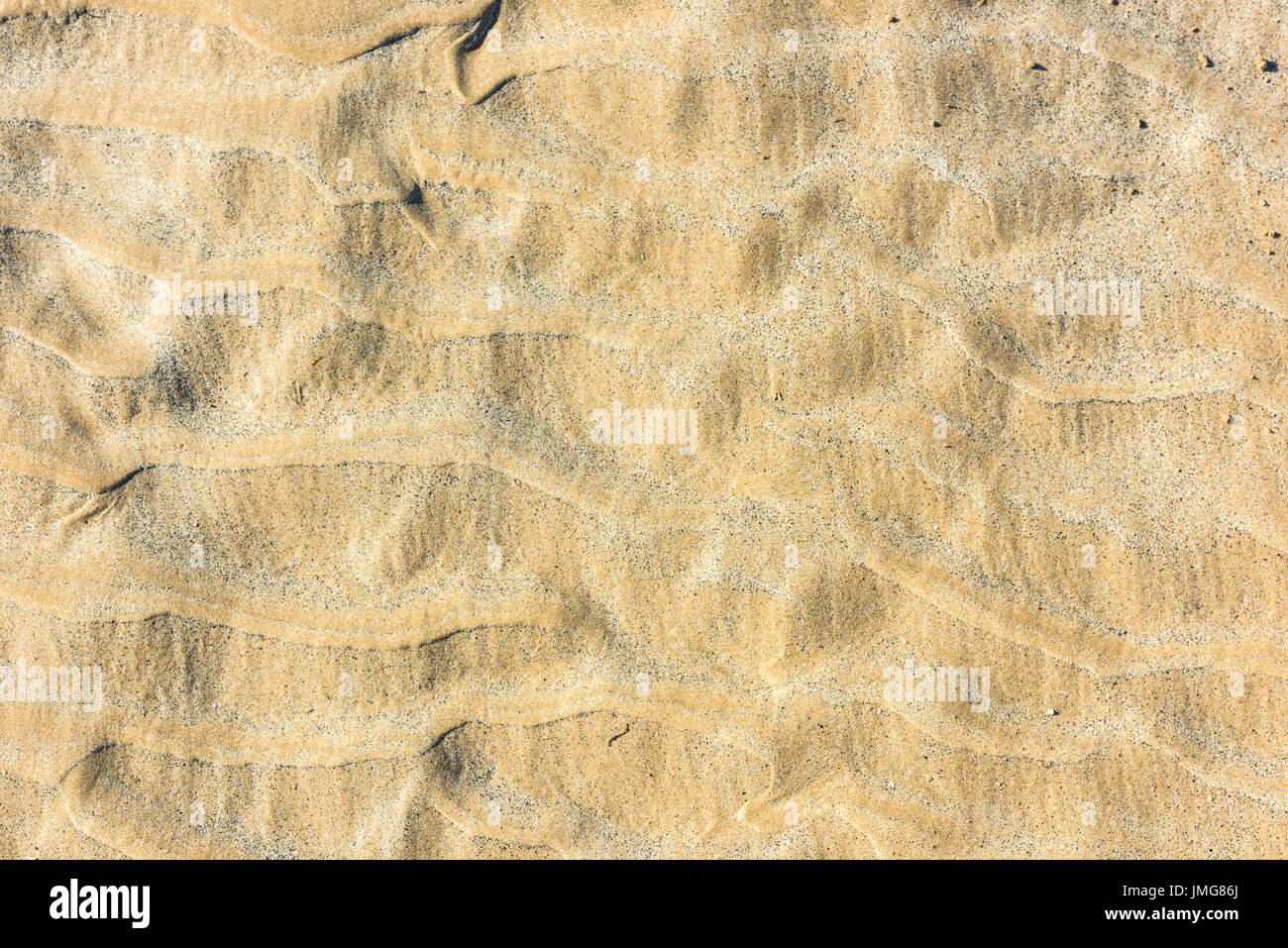 Top view of a sand sea bottom for background and texture Stock Photo ...