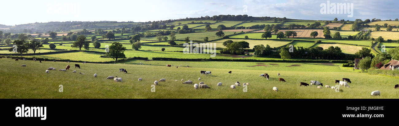 Hardington hi-res stock photography and images - Alamy