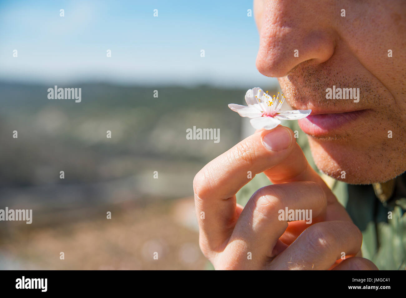 Man sniffing a flower of almond tree. Close view Stock Photo - Alamy