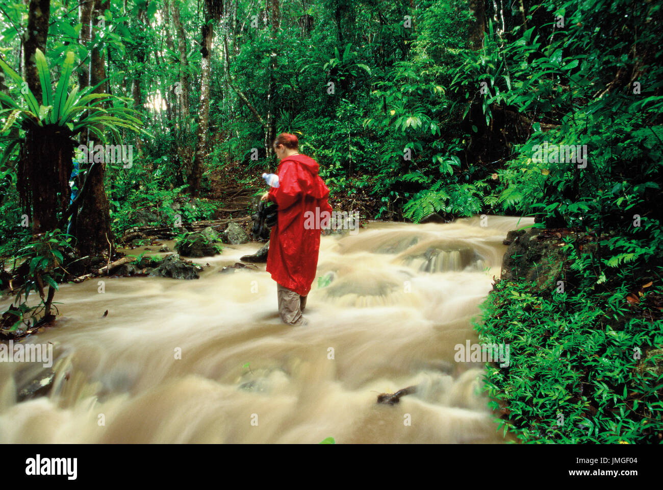 Masoala national park madagascar hi-res stock photography and images ...