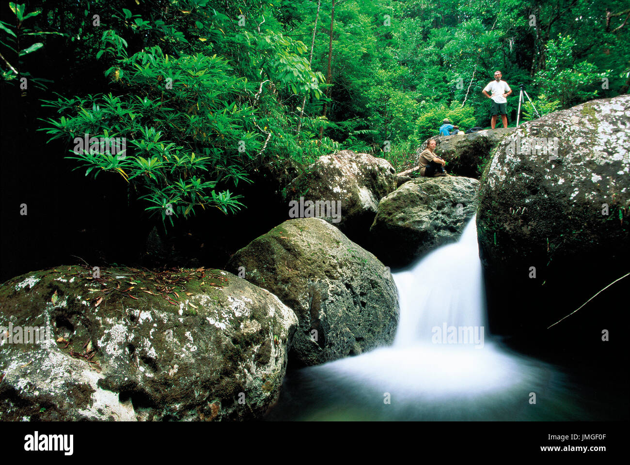 Waterfall in Masoala National Park, Madagascar Stock Photo - Alamy