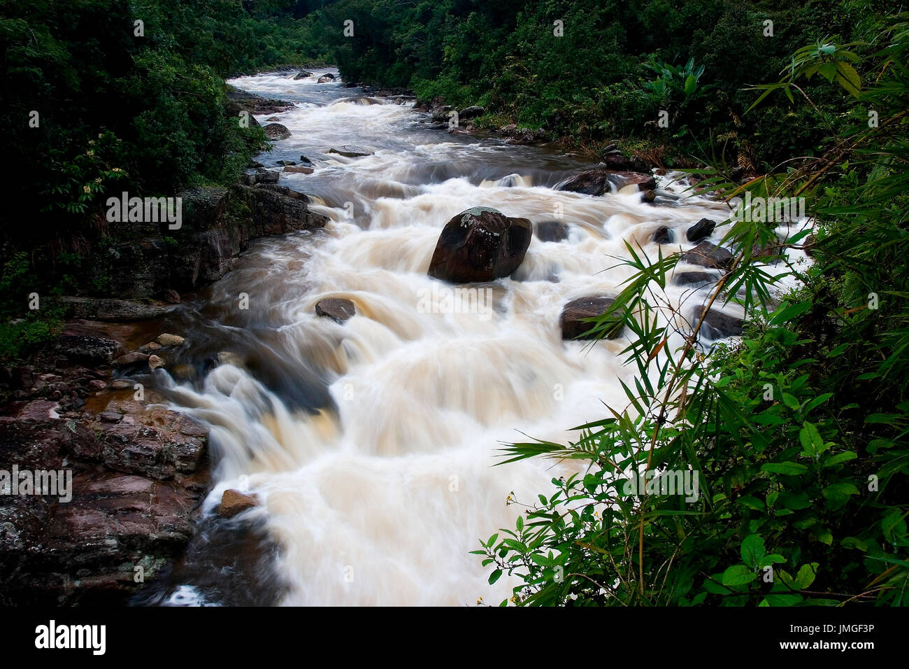 Namorona River in Ranomafana National Park, Madagascar Stock Photo - Alamy