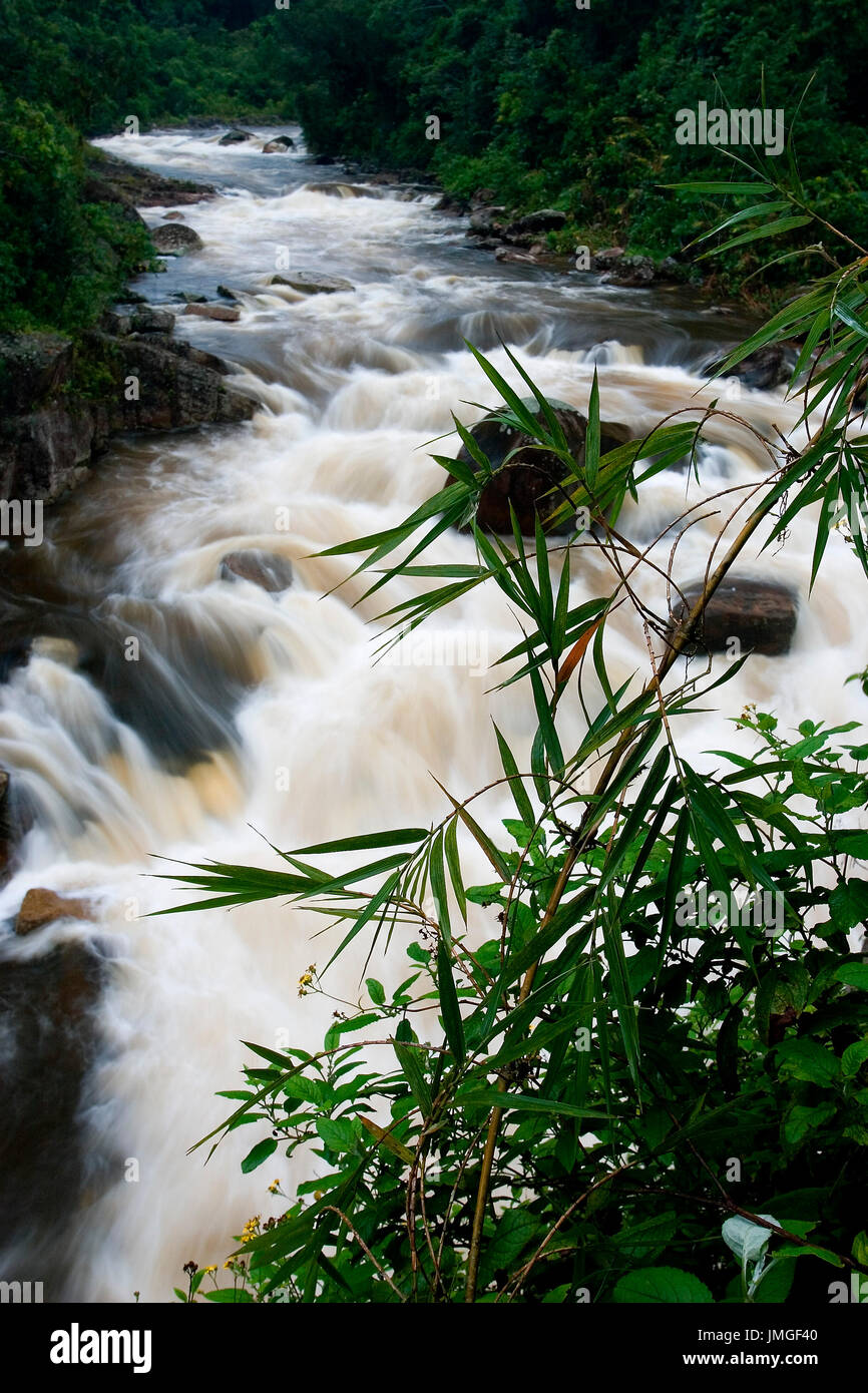Namorona River in Ranomafana National Park, Madagascar Stock Photo - Alamy