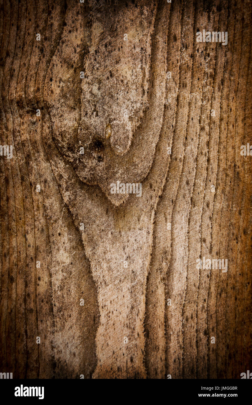 Textured background of a tree Stock Photo - Alamy