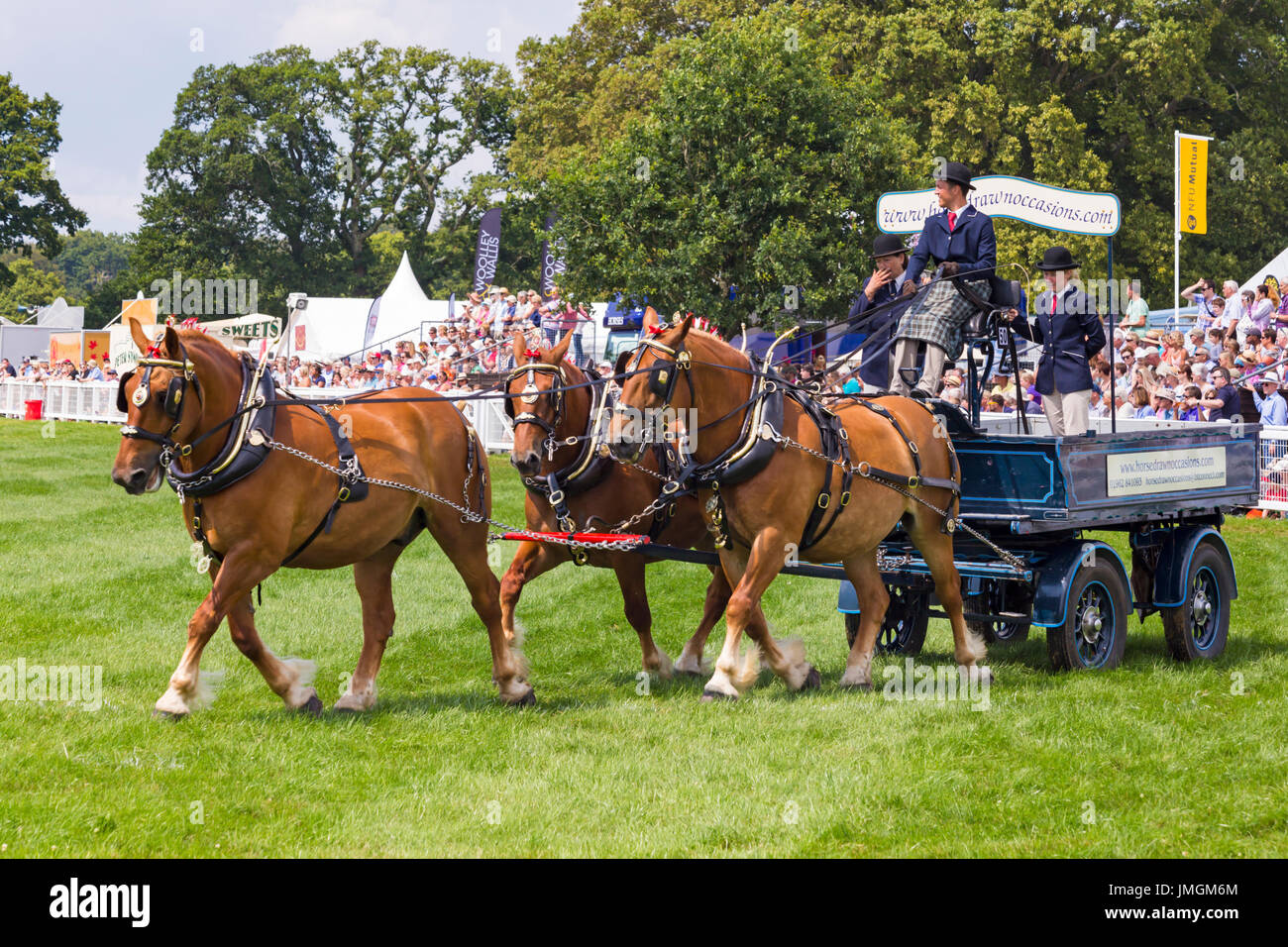 Parading horses hi-res stock photography and images - Alamy