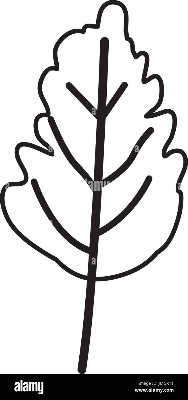 sketch contour of wavy leaf plant Stock Vector Image & Art - Alamy