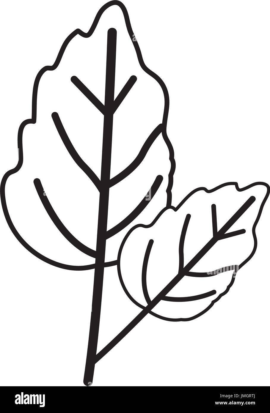 sketch contour of wavy two leaves plant Stock Vector Image & Art - Alamy