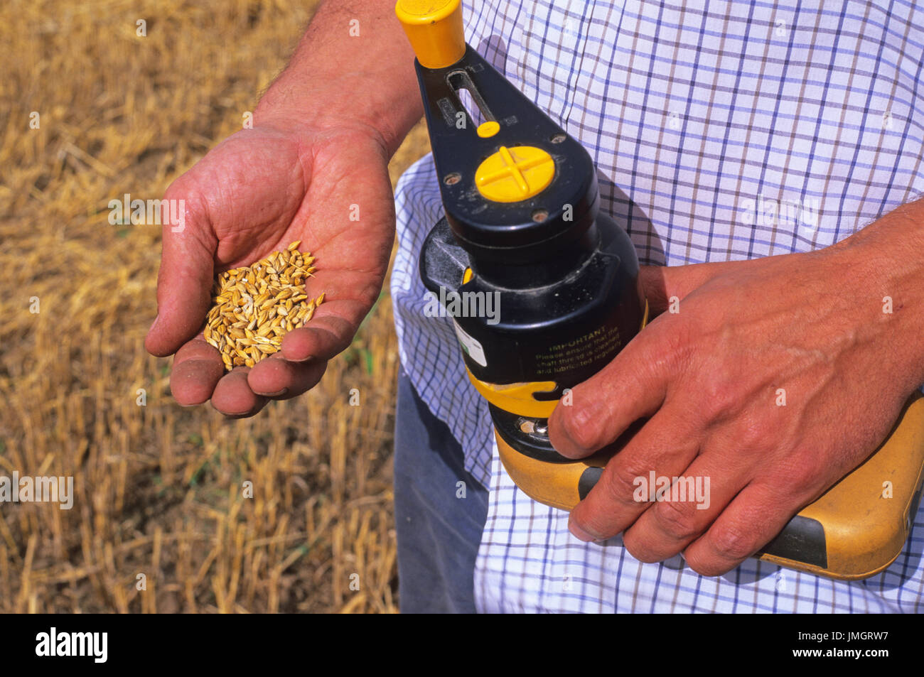 farmer using grain moisture meter to test water content in wheat grain ...
