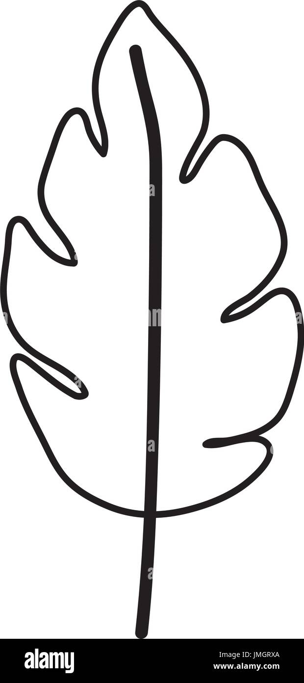 sketch contour of wavy leaf plant with a branch Stock Vector Image ...