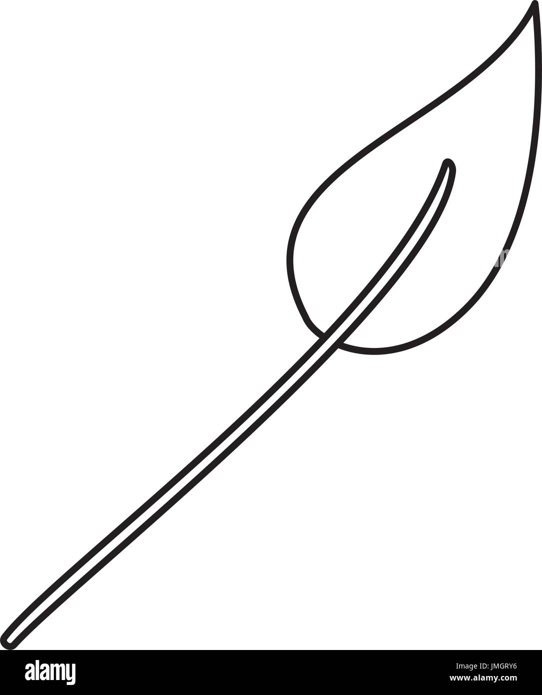 sketch contour of lanceolate leaf plant Stock Vector Image & Art - Alamy