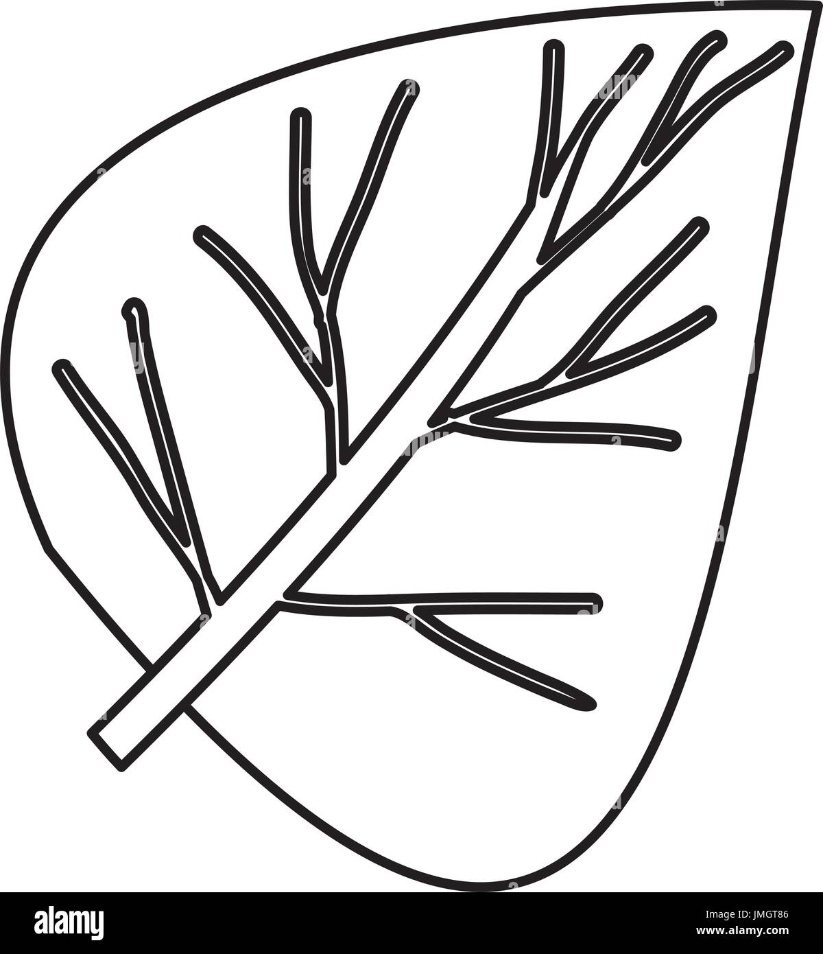 sketch contour of closeup wide leaf plant Stock Vector Image & Art - Alamy