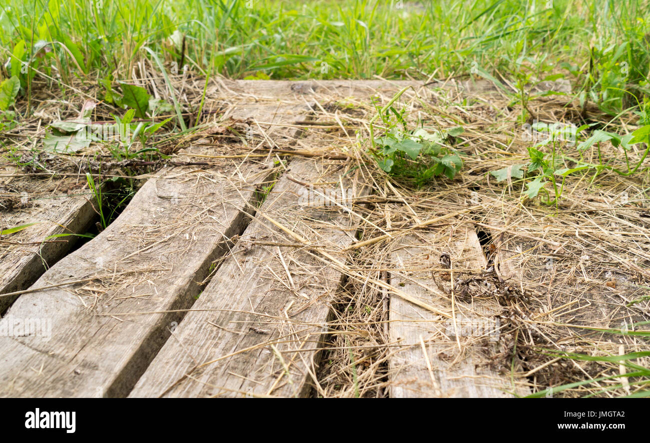 Old wooden country; bridge. background; environment Stock Photo - Alamy