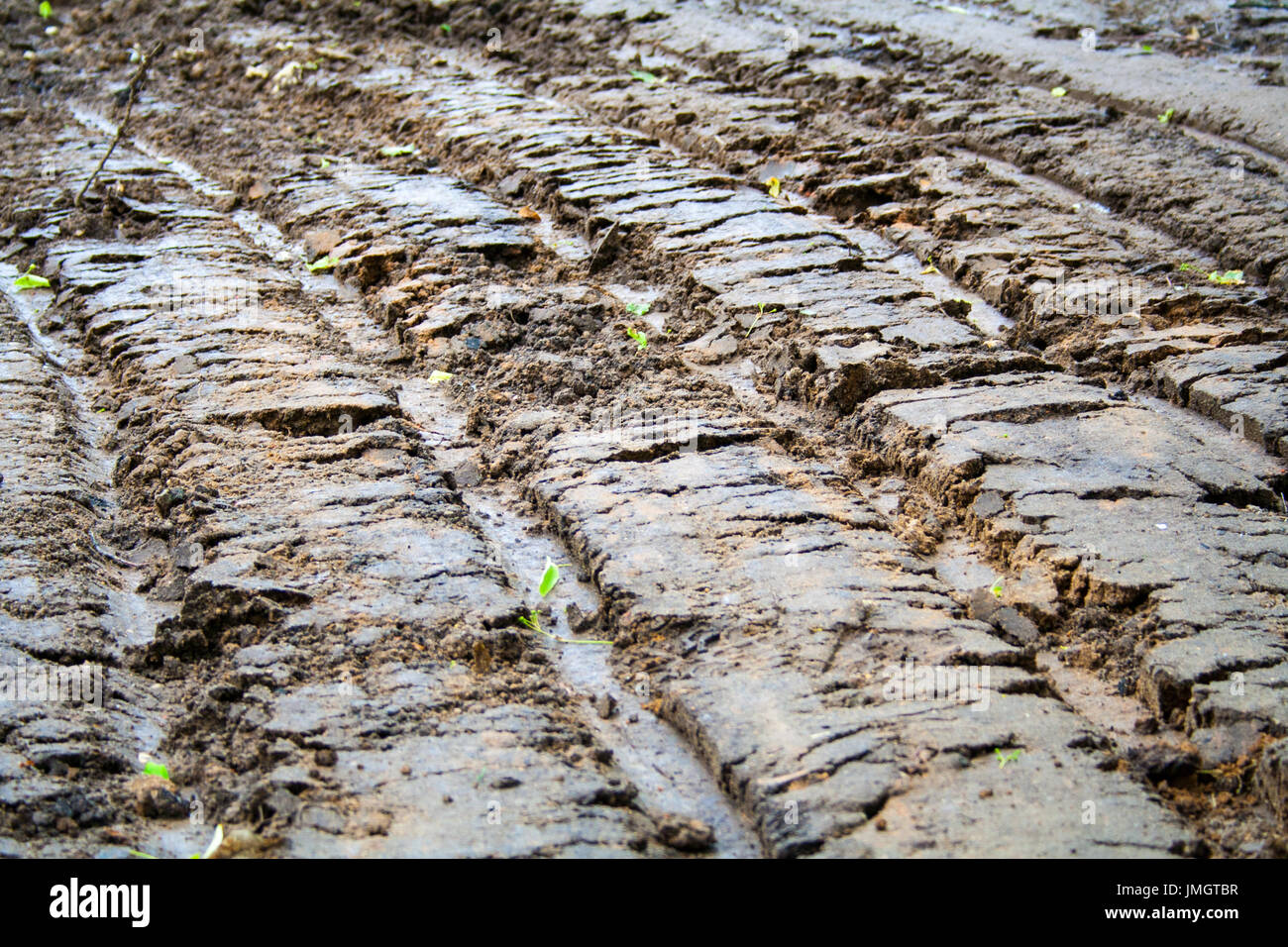 Mud field wet hi-res stock photography and images - Alamy